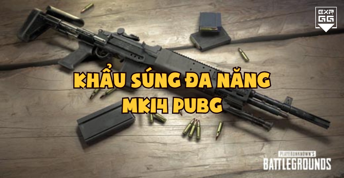 MK14 PUBG: Cách tìm và sử dụng vũ khí hoàn hảo nhất trong PUBG